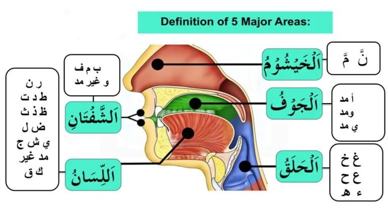 Understanding Makhaarij: The Place of Origin of Arabic Letters (Lesson ...